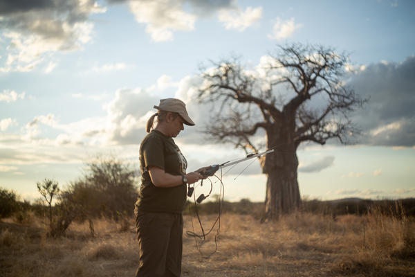 Wildlife Conservation Projects | Department of Zoology